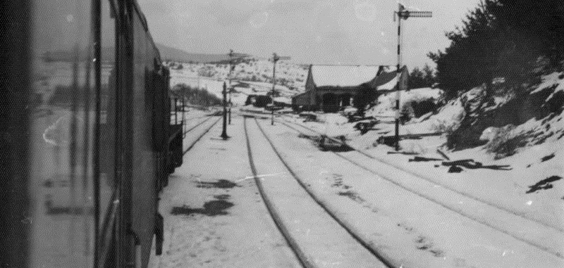 Mustafa Bećirović: Čombe
